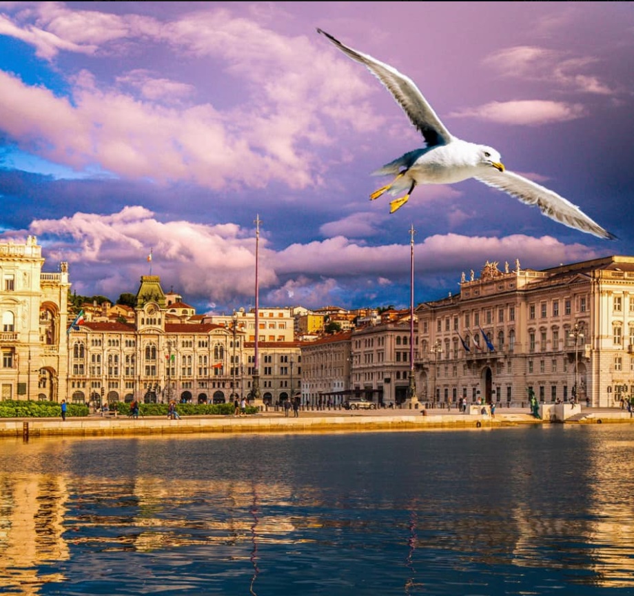 BONUS VACANZE a TRIESTE: ITALIA MA MITTELEUROPA | Hotel Victoria a Trieste